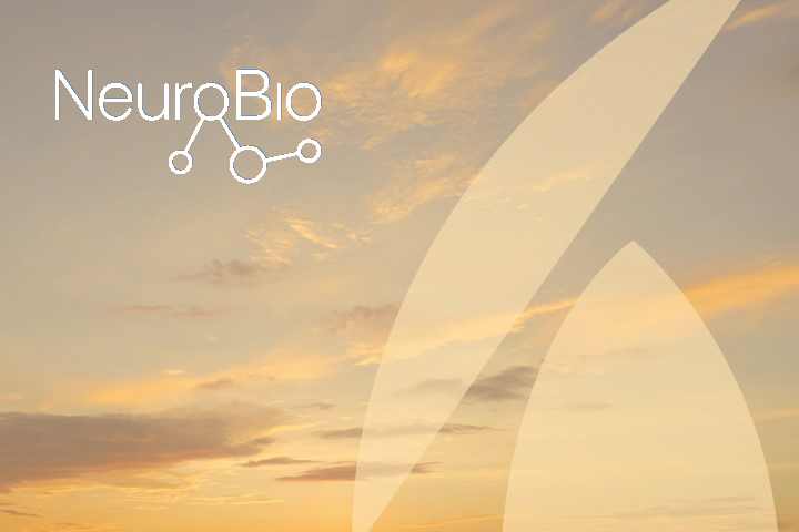 Clota Varde | Insights & News